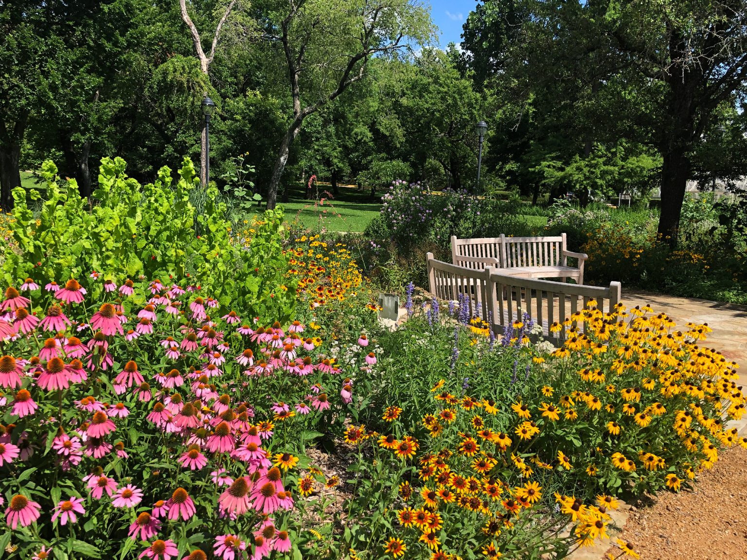 Butterfly garden dedicated to enthusiast and professor Jeff Robb - The ...